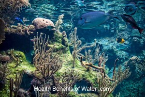 Sea Bathing - 3 main benefits of the Thalassotherapy